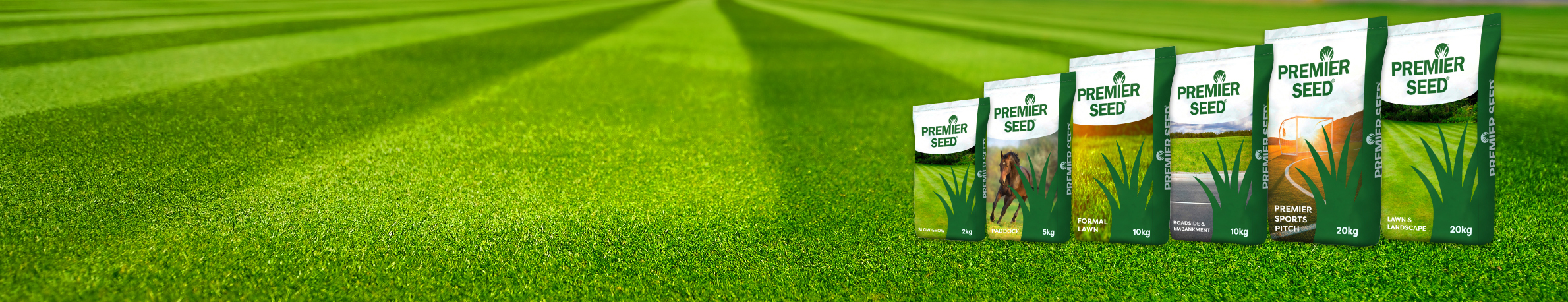 Grass Seeds and Mixes For Lawns, Paddocks, Sports Turf & Amenity Areas