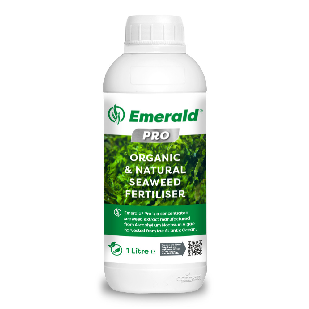 Emerald Pro Seaweed 1L