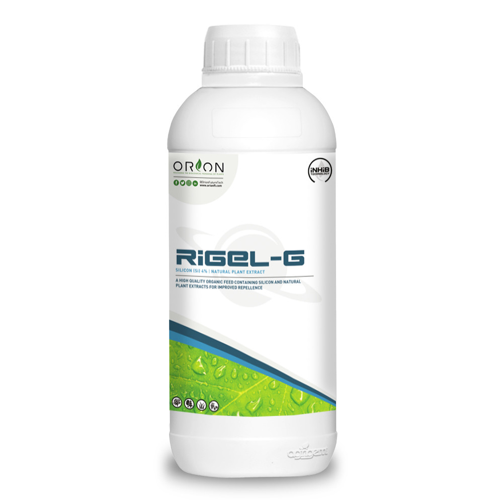 Rigel-G 1L | Plant Nutrient Containing Silicon