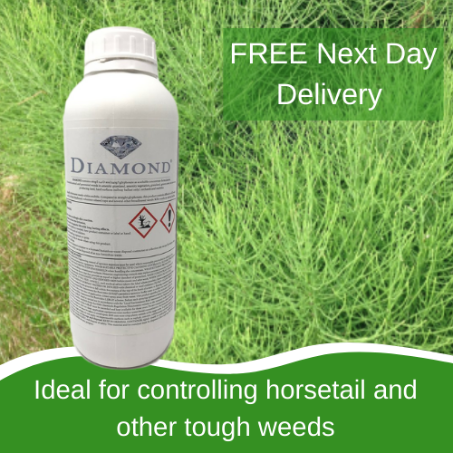 KILL HORSETAIL MARES TAIL DIAMOND WEEDKILLER 1L REPLACES PEARL ...