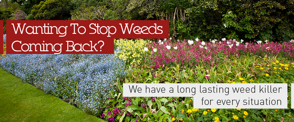 Specialist Agricultural Products, Pesticides & Ground Care | Agrigem Ltd