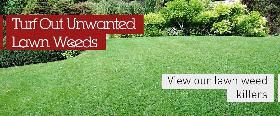 Specialist Agricultural Products, Pesticides & Ground Care | Agrigem Ltd