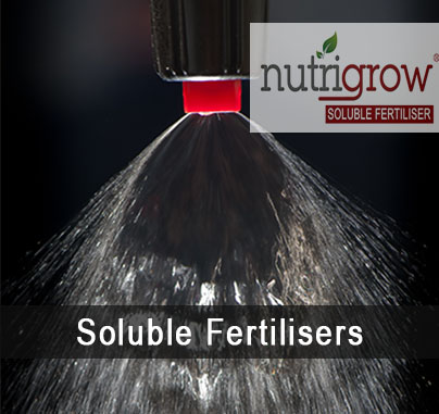 Specialist Agricultural Products, Pesticides & Ground Care | Agrigem Ltd